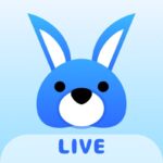 Joingy: Your Go-To Platform for Random Video and Text Chat ...